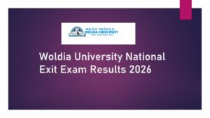 Woldia University National Exit Exam Results 2018/2026 ወልድያ ዩኒቨርሲቲ ...